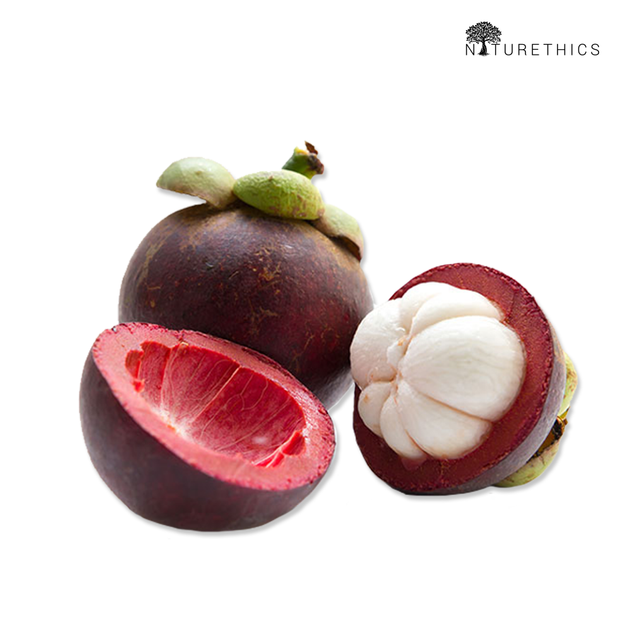 Mangosteen Pericarp Capsules 100s – Naturethics