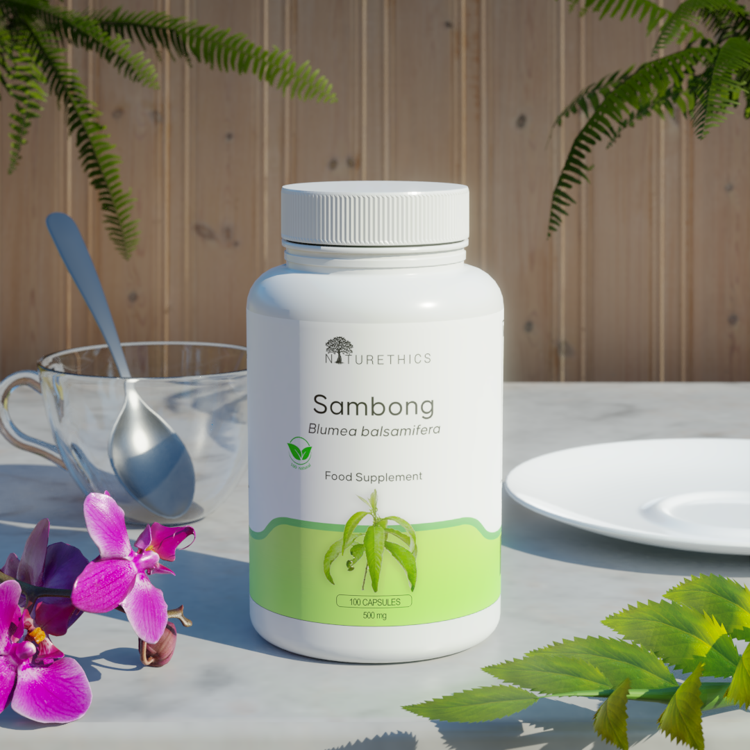 Sambong Leaves Capsules 100s – Naturethics