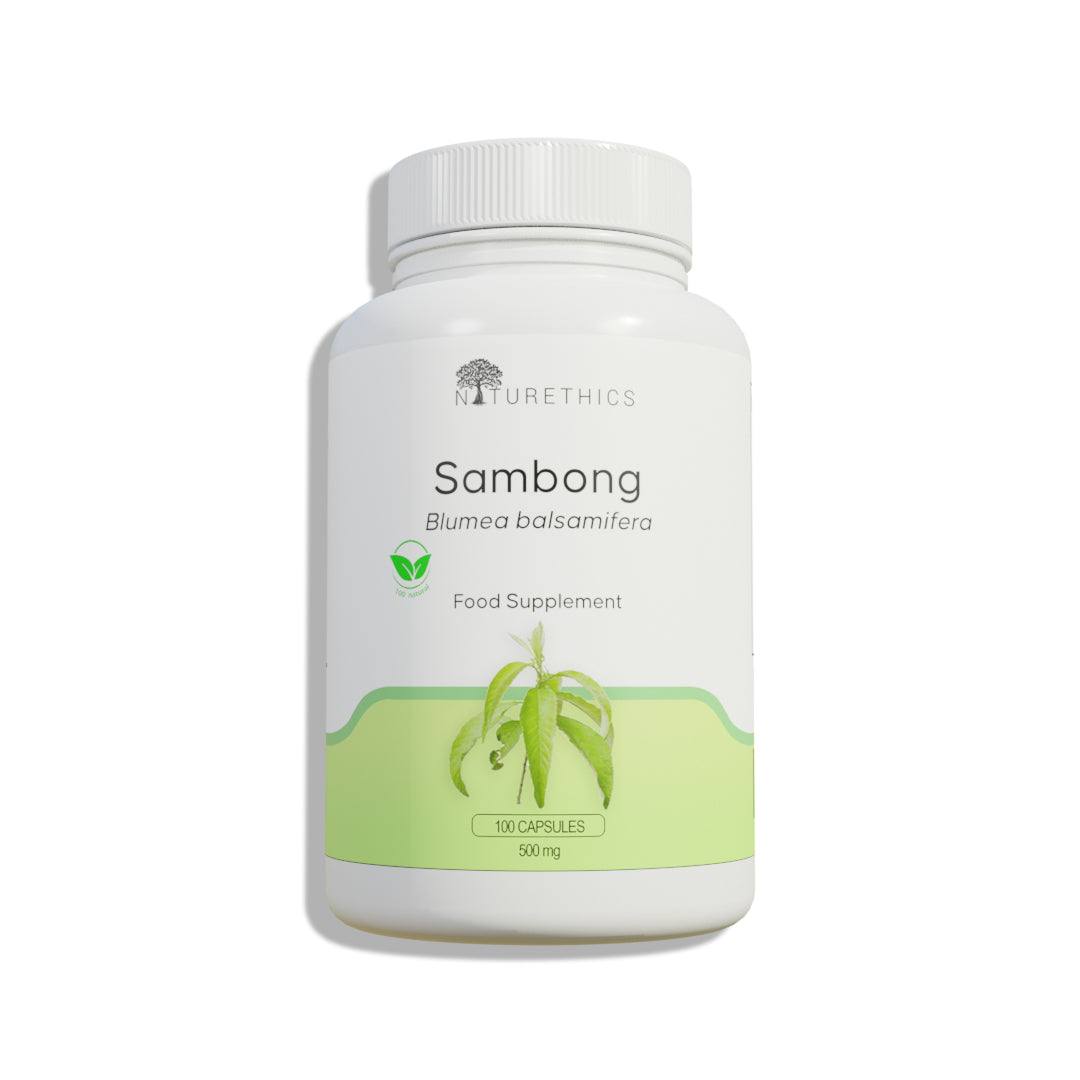Sambong Leaves Capsules 100s – Naturethics